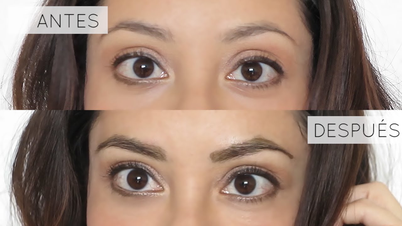 Mejores Hennas para Cejas © 【2023】-【Guía Especializada】